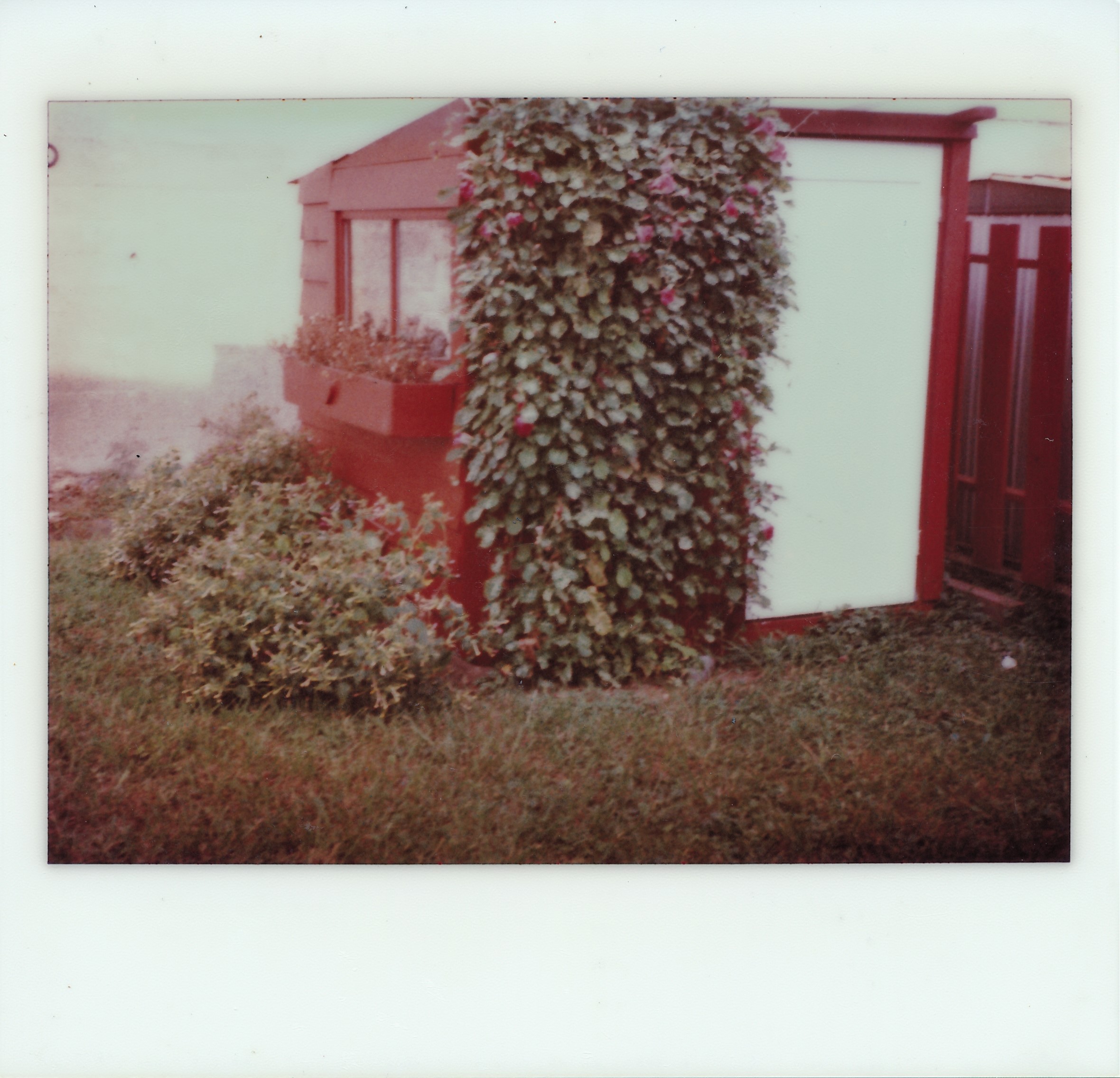 Random Yokohama – 1978 | Chasing Classic Cameras with Chris